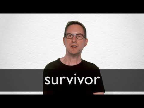 SURVIVOR definition and meaning | Collins English Dictionary