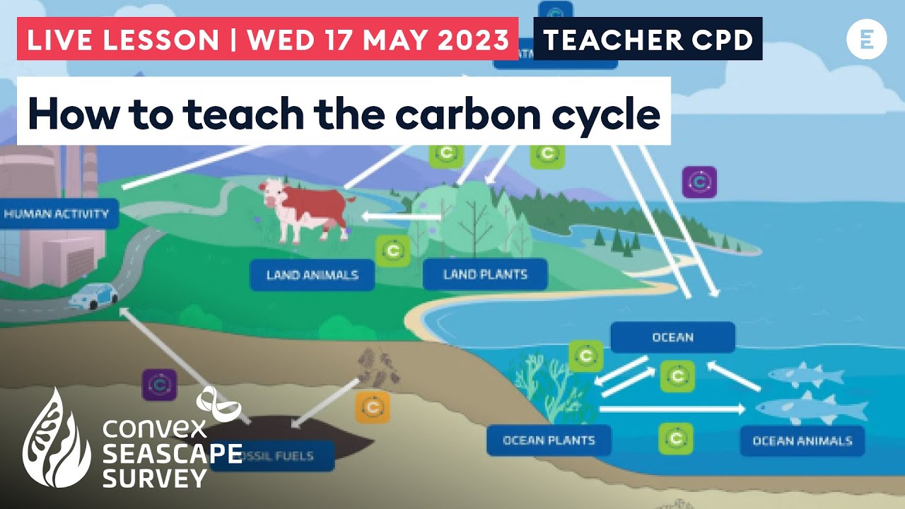 How to Teach the Carbon Cycle