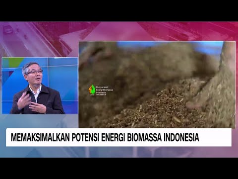 Memaksimalkan Potensi Energi Biomassa Indonesia
