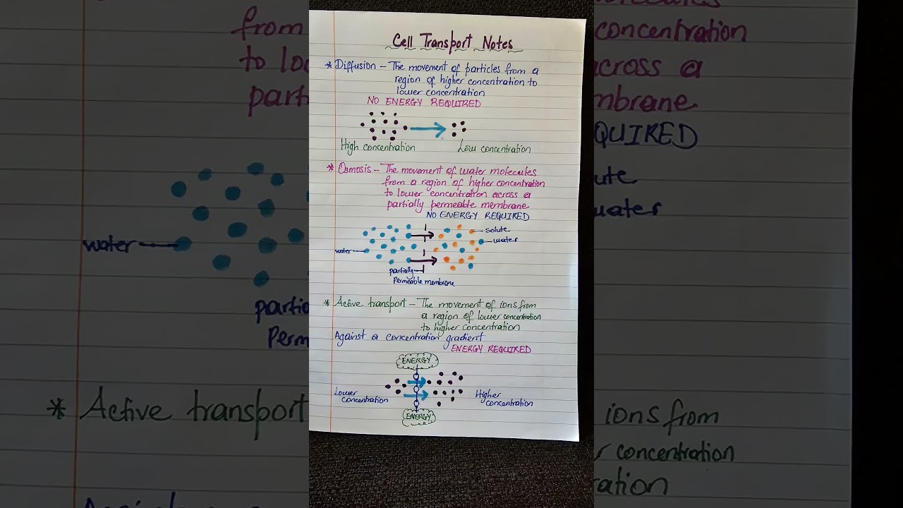 AQA GCSE BIOLOGY Cell transport notes diffusion, osmosis, active transport