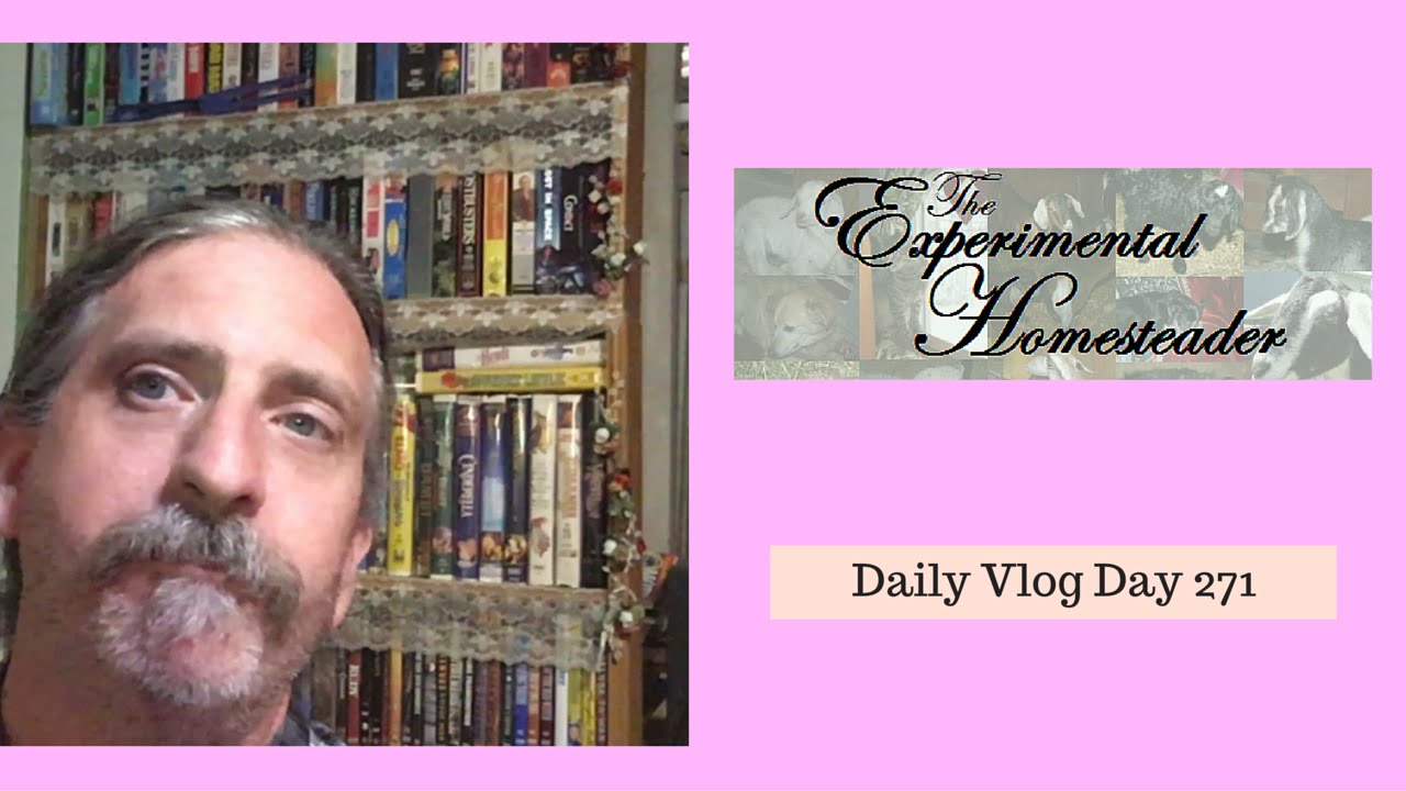 Daily Vlog Day 271 Experimental Homesteader