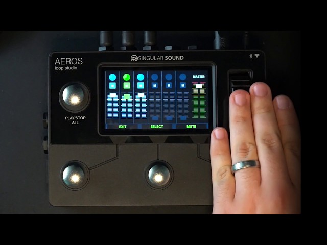 SINGULAR SOUND Aeros Loop Studio Looper | Kytary.at