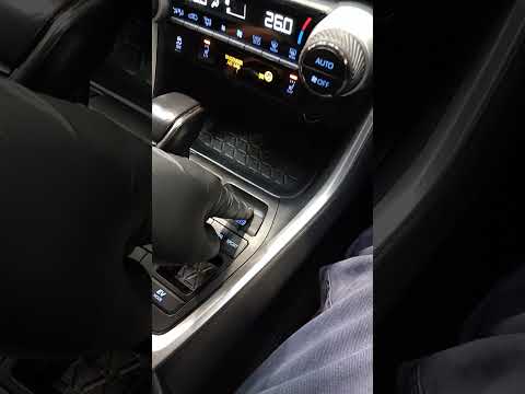 Toyota RAV4 2021 4 Rear Breaks Service Mode procedure