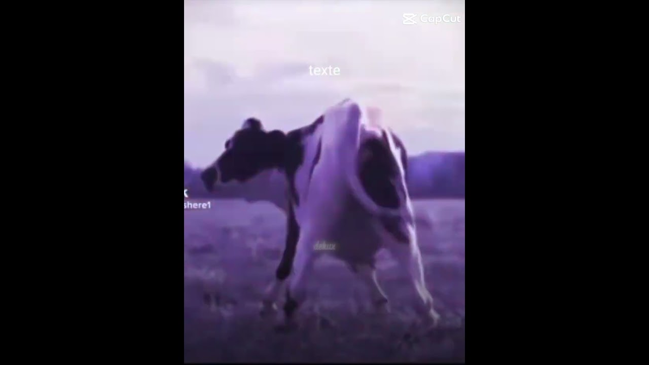 Cow Dance Meme Template | Cow Dance velocity Meme Templates Video| #memes #viralvideo #indvspak