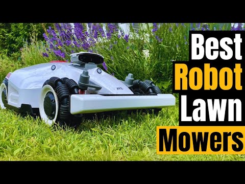 No More Mowing! The Future of Lawn Care: Best Robot Mowers 2025 Revealed