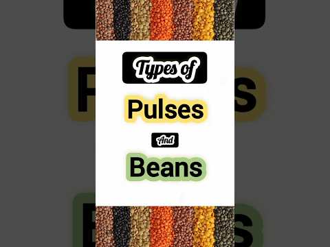 Types of Pulses and Beans || Pulses Names with picture #names #pulses #beans #types
