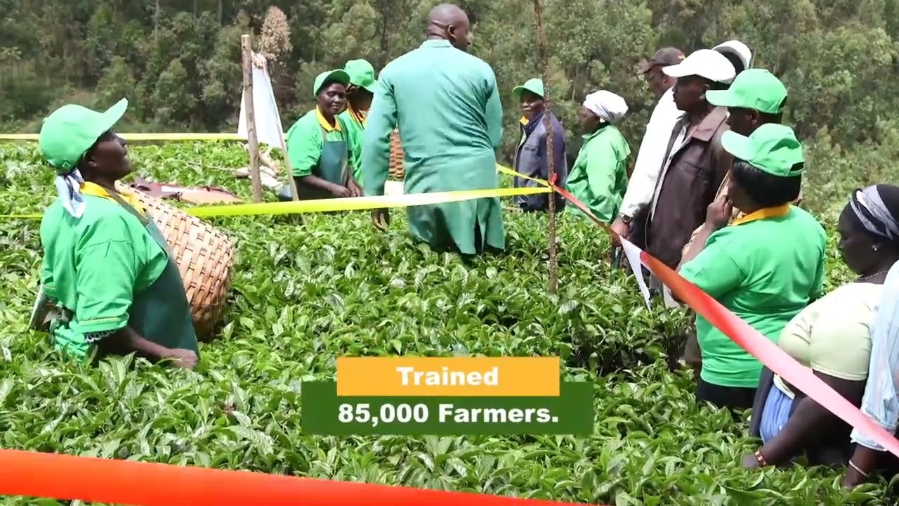 KTDA FOUNDATION SUSTAINABILITY AGENDA.