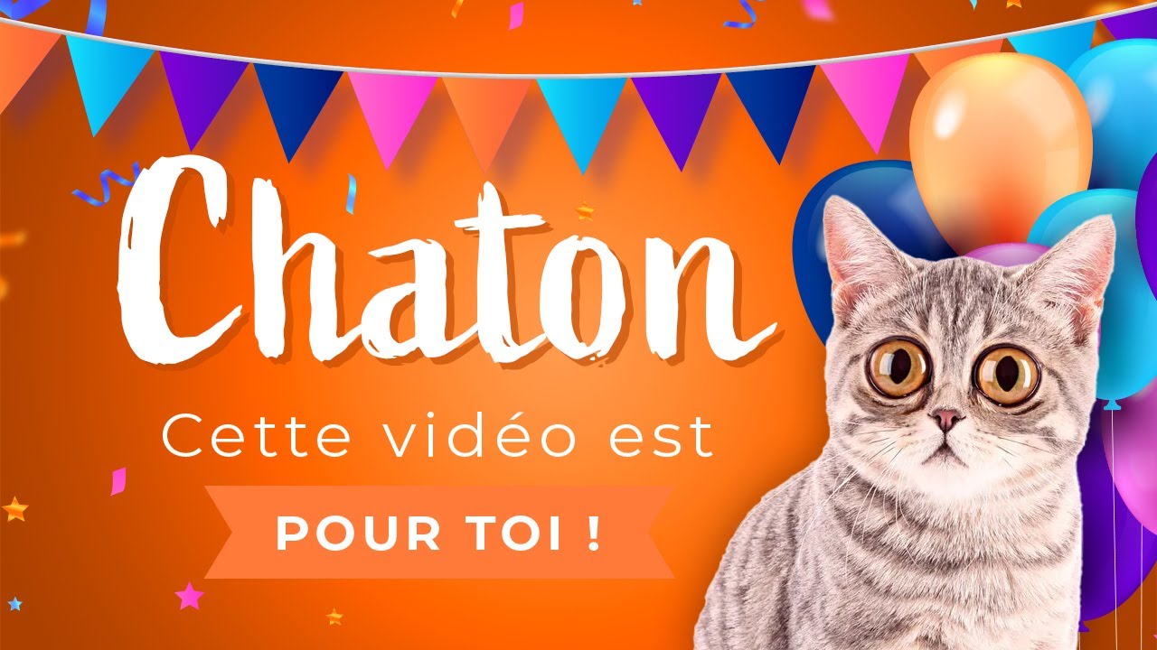 Joyeux anniversaire Chaton !