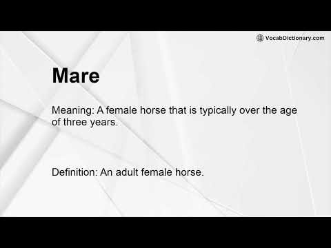 Mare Meaning