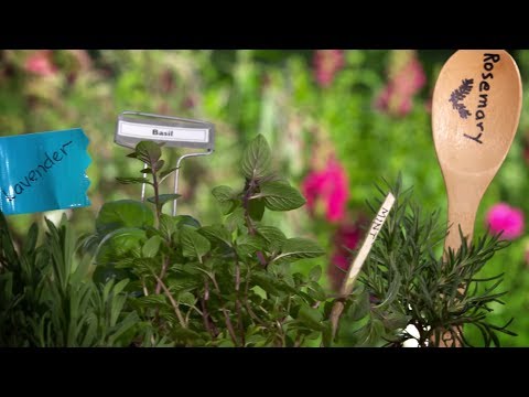 How to Make Creative Plant Markers with Teena Spindler
