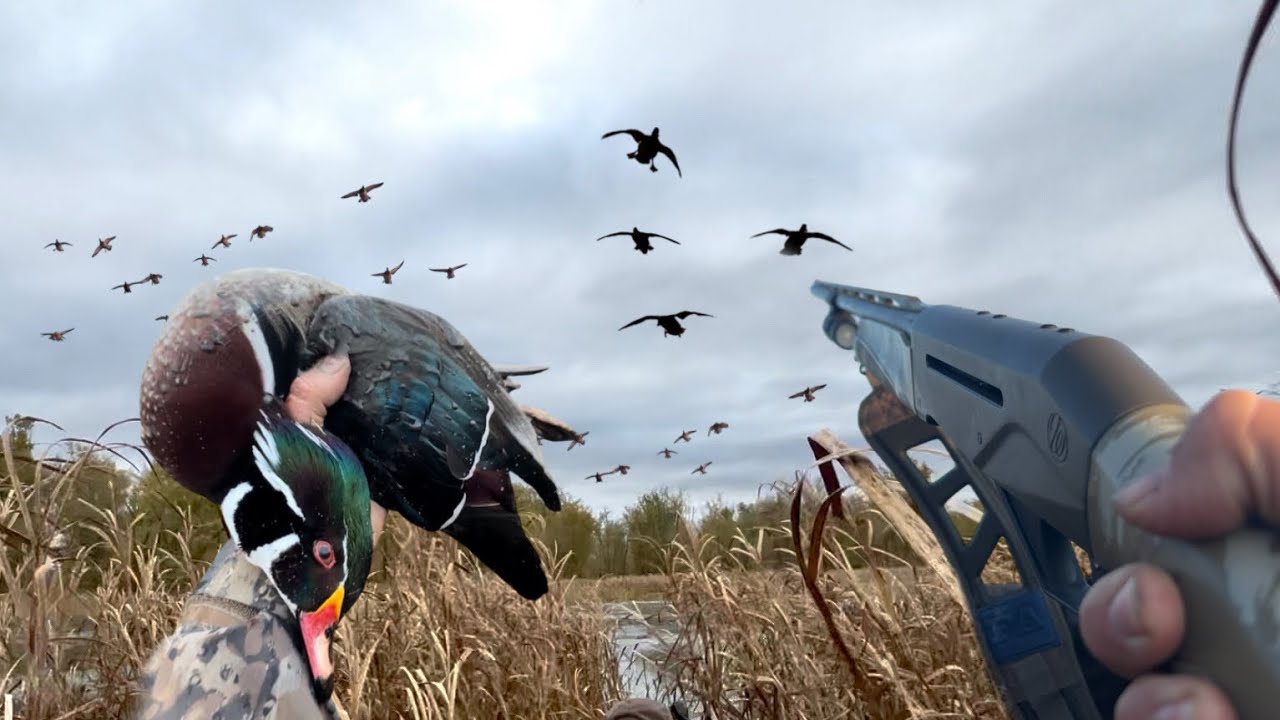 Greenheads & Pintails | All-Drake LIMITS but EVERY Drake Gets Prettier