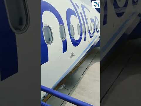 Indigo Flight Ranchi To Delhi #flight #status #shorts #new #wtc