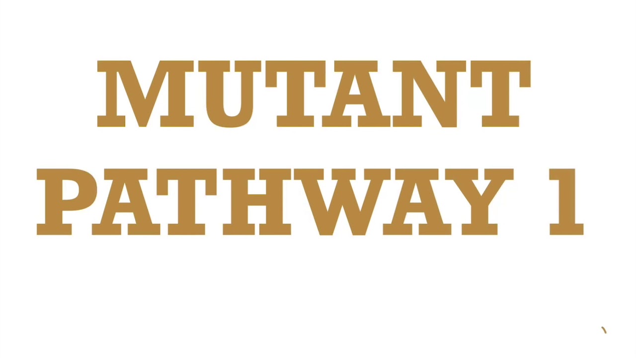 Developmental Pathways