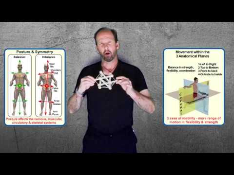 Tensegrity Relationship to the Human Body | Mind and Body Exercises - Blog