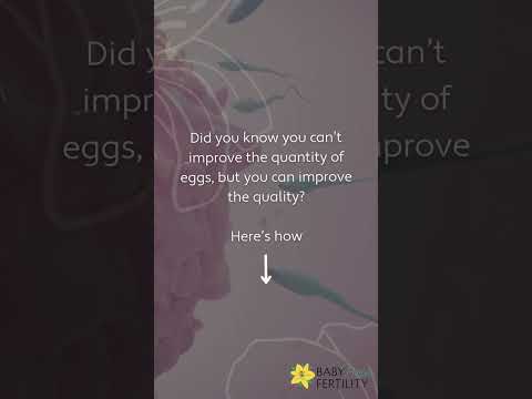 Improving Egg Quality #HolisticFertility #TTC