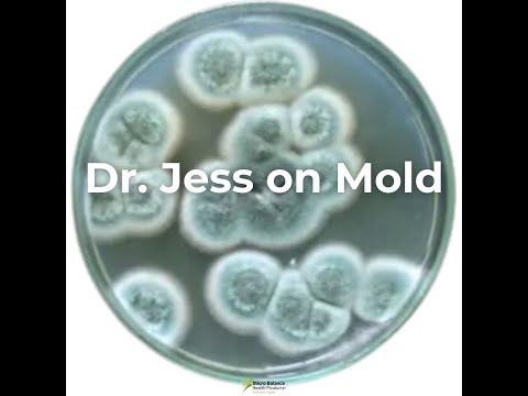 Dr. Jess on Unusual Mold Symptoms