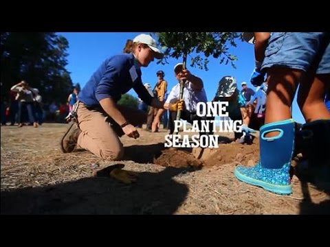 Tree for All: 1 Year - 2 Million Trees & Shrubs
