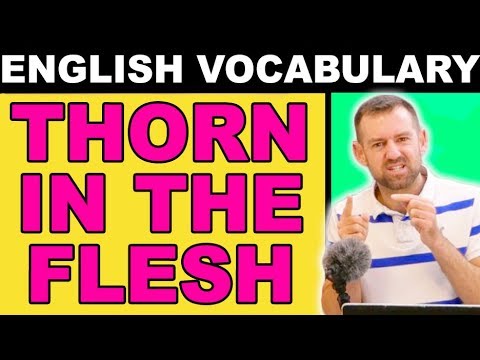 English Idiom | Thorn in the Flesh