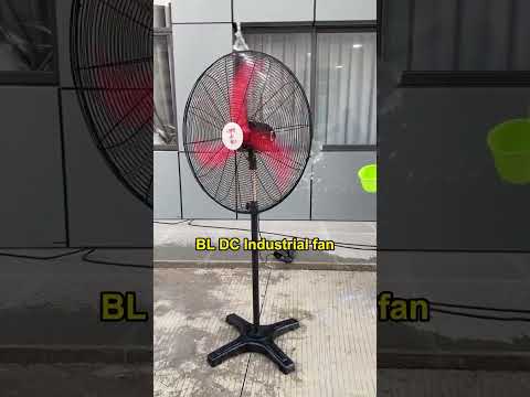 High quality hot seller BLDC industrial stand fan(hot)