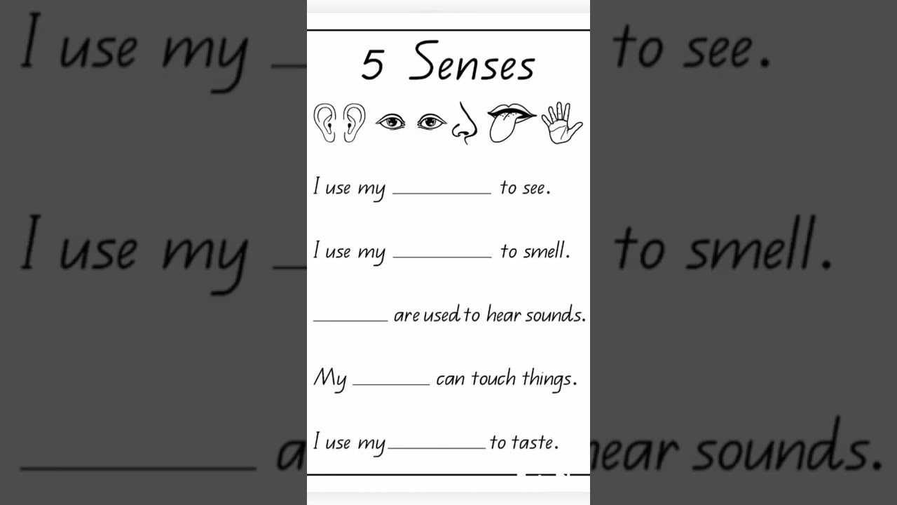 5 senses # 5 senses worksheets #class 1 evs worksheet #worksheet for children #Story Time with Me