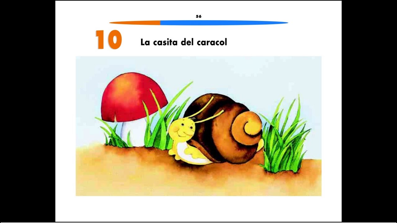 La Casita Del caracol cuentos infantiles