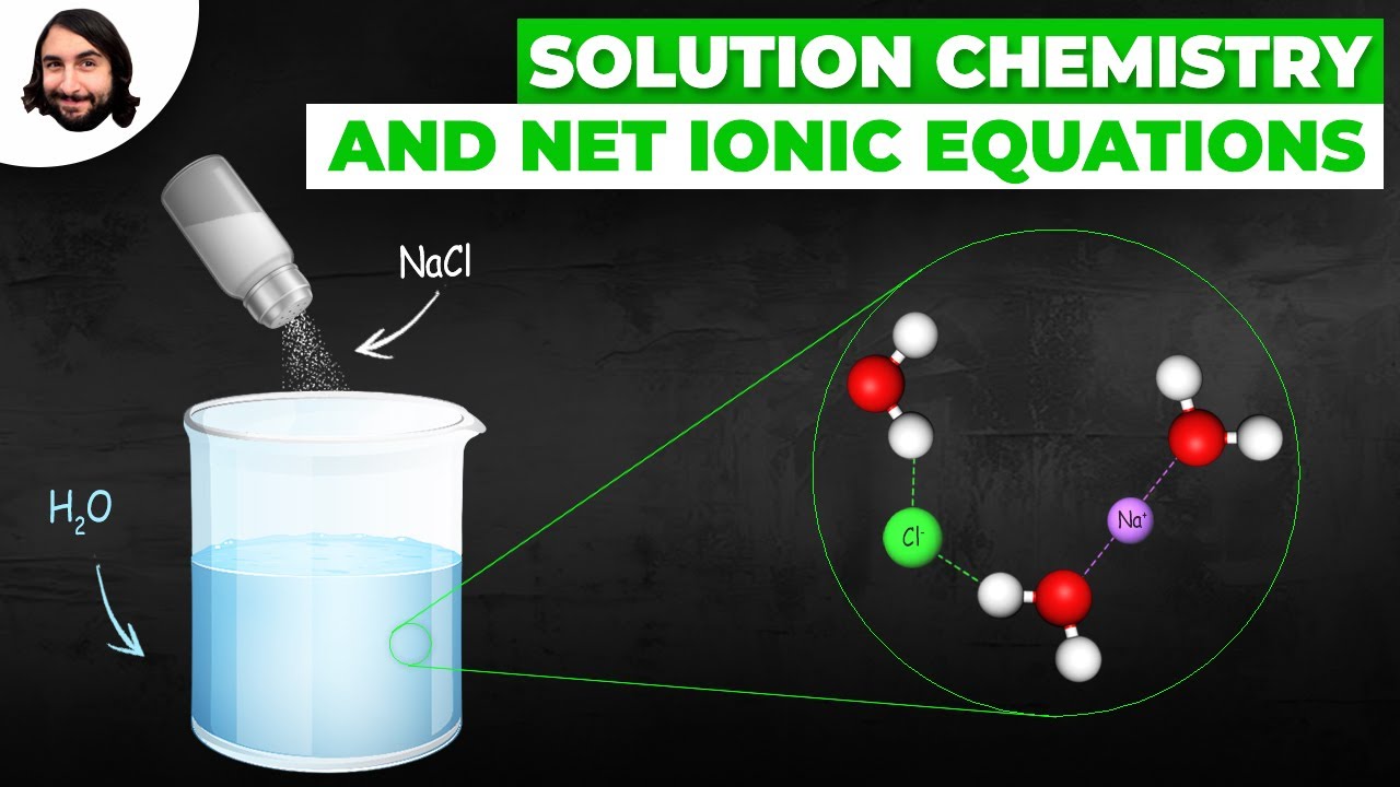 Solution Chemistry and Net Ionic Equations