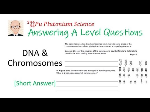 How to Answer A-Level Biology Exam Questions - DNA & Chromosomes (Short Answer)