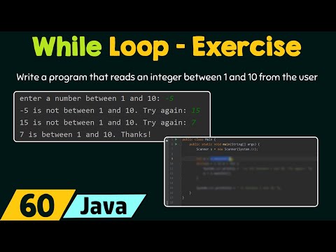 Learn While Loop – Exercise - Mind Luster