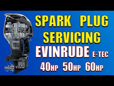 Replace/Inspect Spark Plugs Evinrude E-TEC 40 50 60 HP (2007)