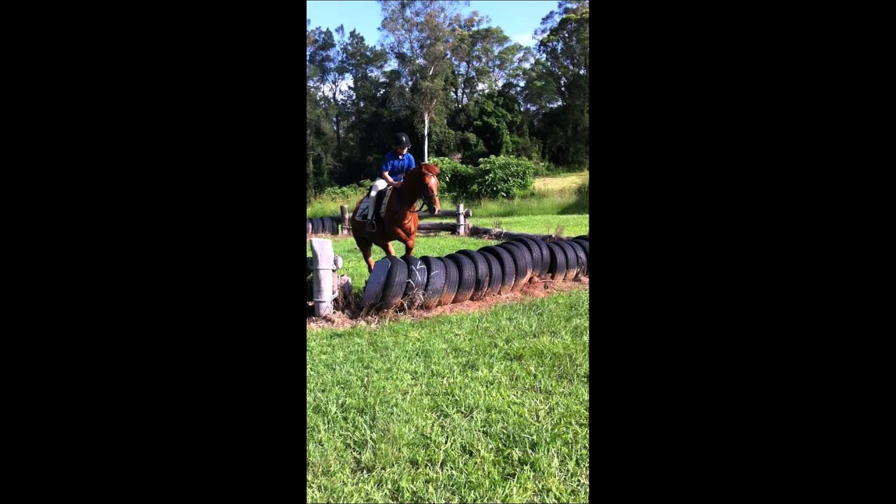 IMG 0070