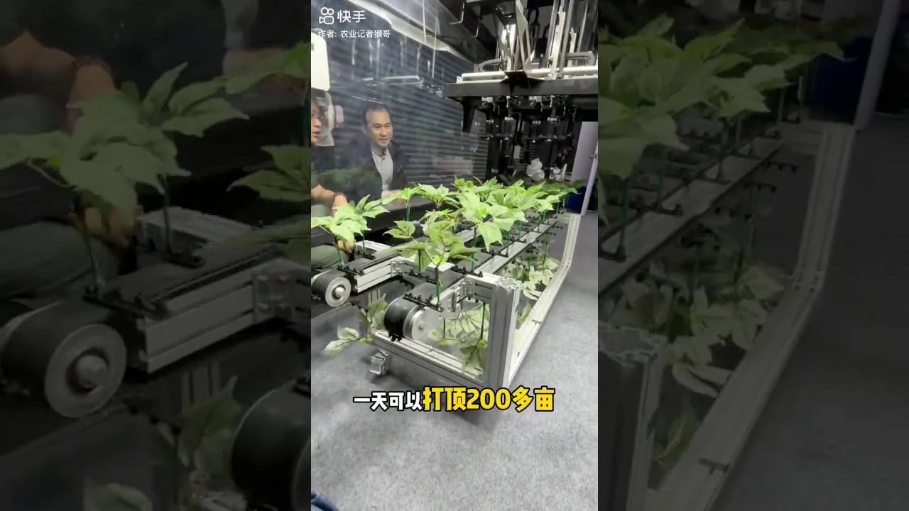 Digital farming in China #china #shorts #tech #agriculture