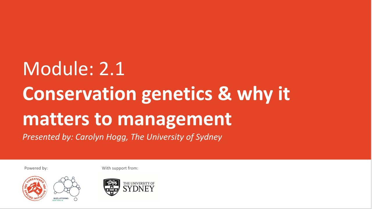 Module 2.1: Conservation genetics and why it matters to management