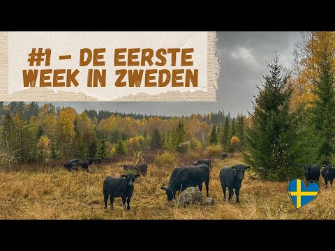#1 - de eerste week in Zweden