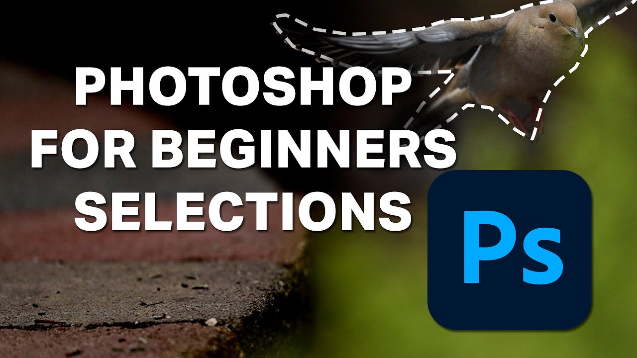 Mastering Selections in Photoshop: A Beginner's Guide | Galaxy.ai