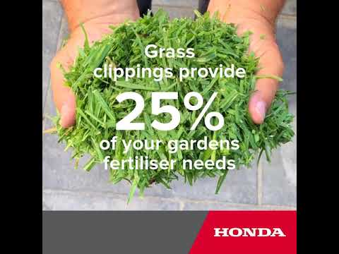 Advantages of Mulching