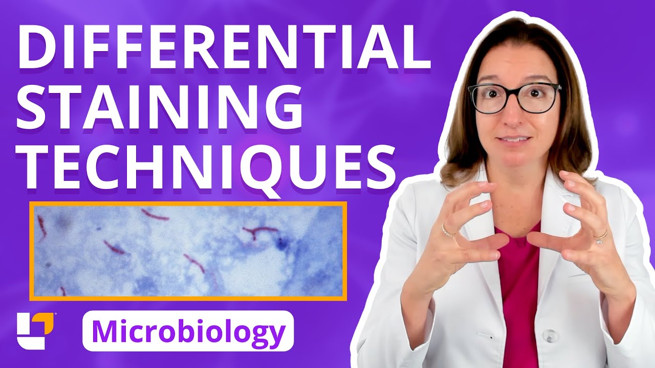 Differential Staining Techniques - Microbiology for Pre-Med, Nursing & Health Care |​⁠ @leveluprn