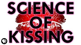 Learn English through Video The Science of Kissing.