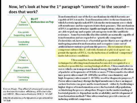 Creating Coherent Paragraphs: Topic Sentences, Echo Words, Transitions