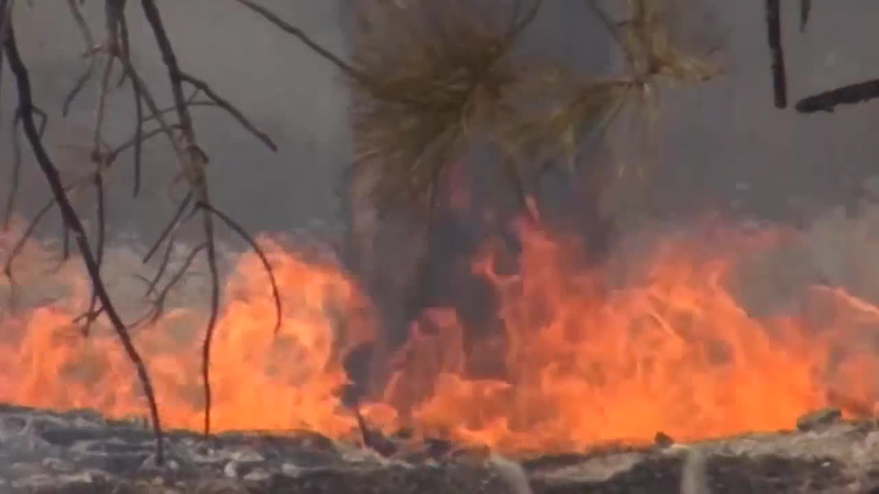 Weather Wise: Wildfire season