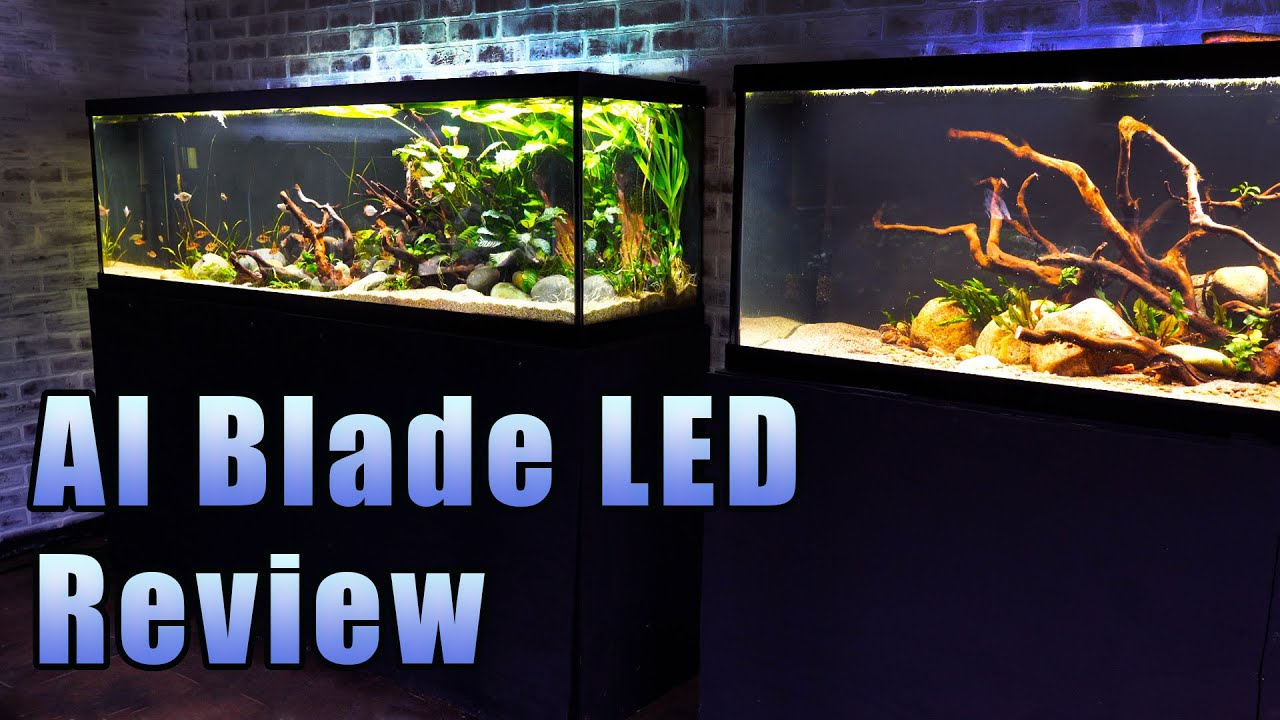 AI Blade LED Aquarium Light Review: The Light Responsible For Illuminating The Fish Gallery
