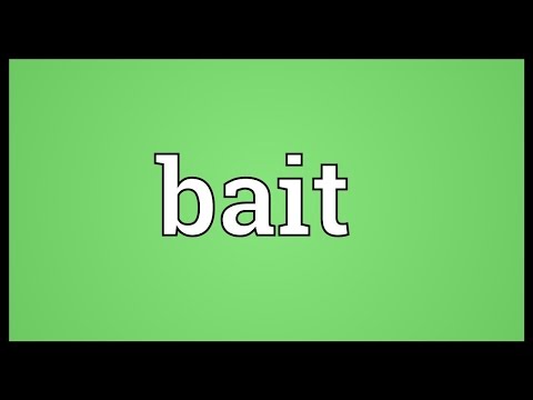 Bait Meaning