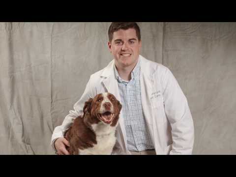 How Did Dr. Krebs Get His Dog?