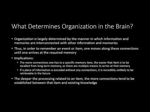 Lecture 5.4 - The Role of Meaning and Memory Connections