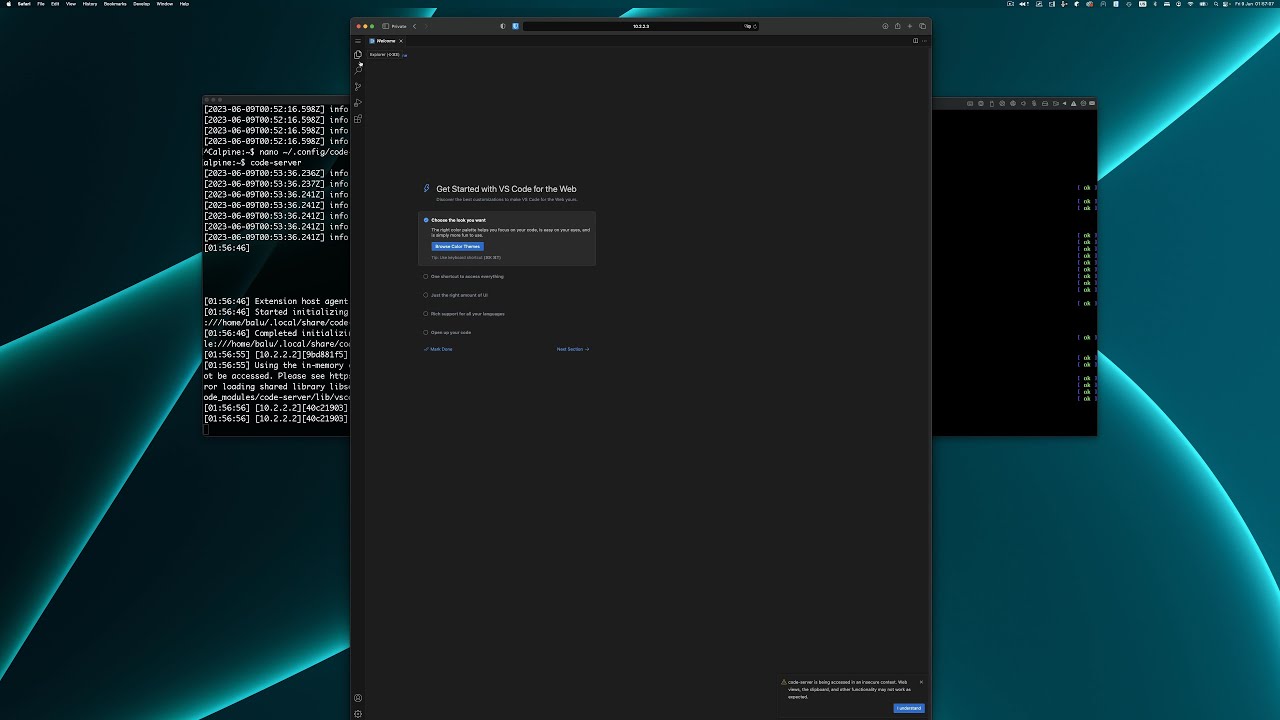 How to install code-server in Alpine Linux using npm?