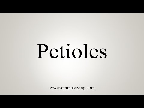 How To Say Petioles