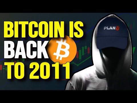 This Is Like Buying Bitcoin In 2011 - Plan B (Rock Bottom Opportunity)