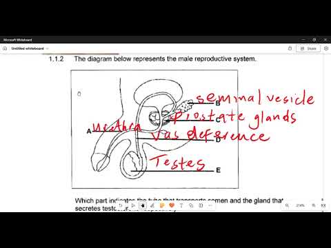 Life Sciences Grade 12 March Exam 2023 Term 1