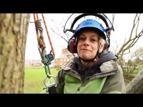 Askham Bryan College - Professional Tree Surgery and Management