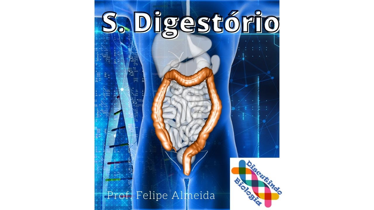 How does Digestion work??? #shorts