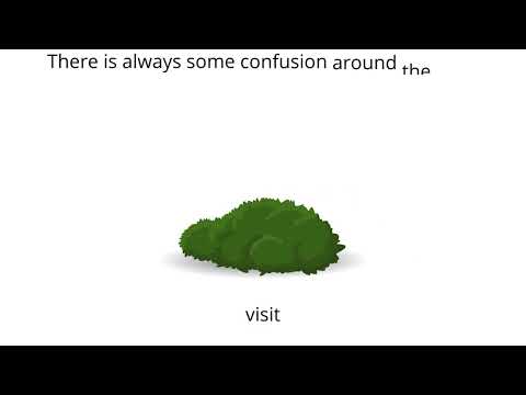 What are Shrubs Meaning and 101 shrub types